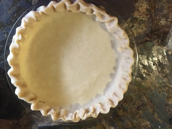 Easy Chicken Pie - Homemade Chicken Pie Recipe • Loaves and Dishes