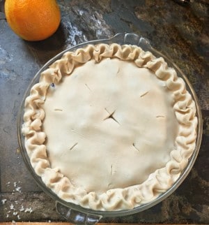 Easy Chicken Pie - Homemade Chicken Pie Recipe • Loaves and Dishes