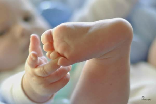 Four Cheese Pasta Bake • Loaves and Dishes