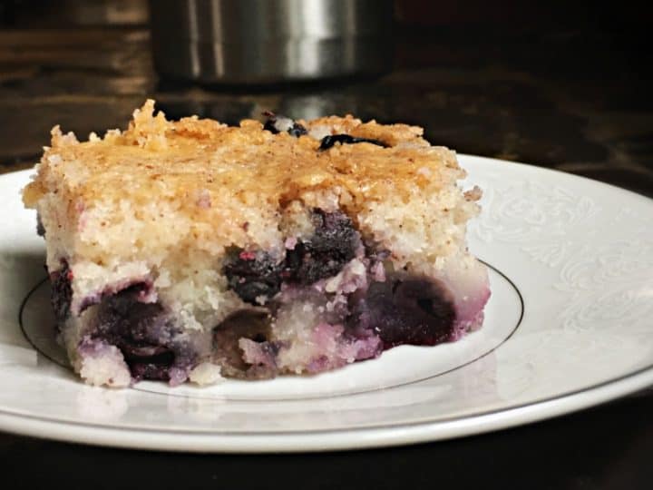 Blueberry Balsamic Chicken • Loaves and Dishes
