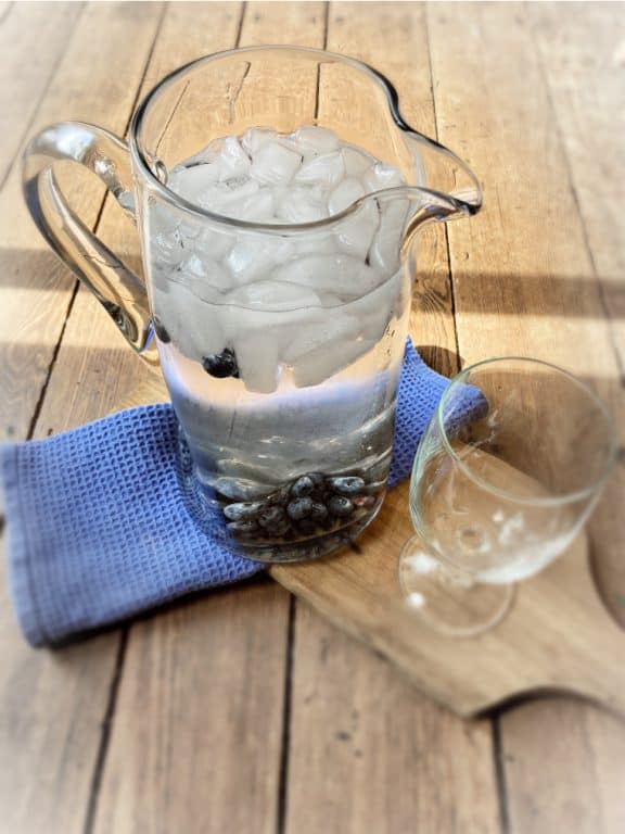 5 Minute • Blueberry Water • Loaves and Dishes